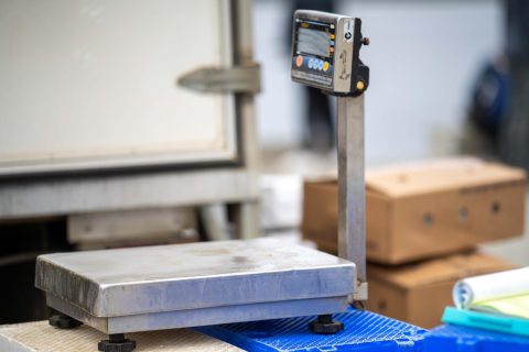 Troubleshooting Common Scale Errors: When to Call a Professional ...
